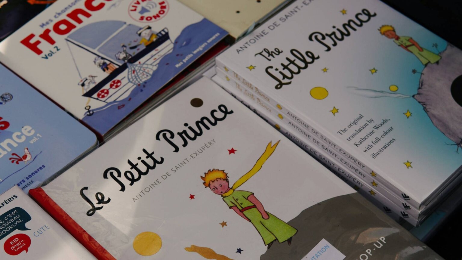 15 Best Little Prince Quotes, Ranked – Blusher