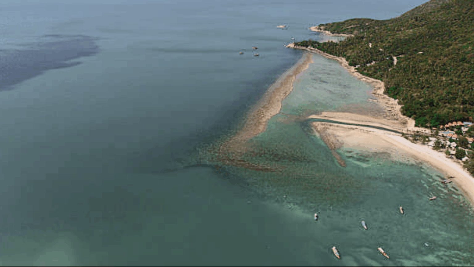 Experts Reveal “Visual Anomaly” Could Point to Amelia Earhart’s Long ...