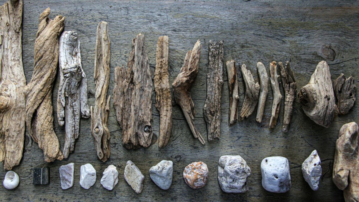 Archeologists Discover Treasure Among Ancient Trash – Blusher