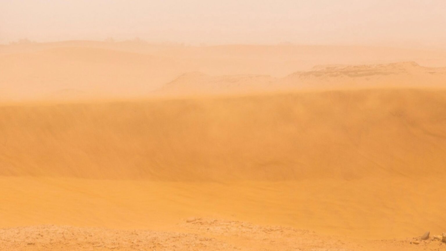 Former Police Officer and Pentathlete Drank Urine and Bat Blood to ...