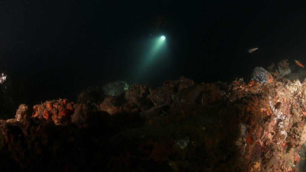 What’s Hiding Under the Baltic Sea? The 200-Foot ‘Staircase’ That ...